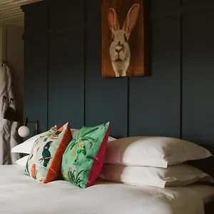 The Rabbit Hotel & Retreat Templepatrick: 4 star Hotel with a Minimum ...